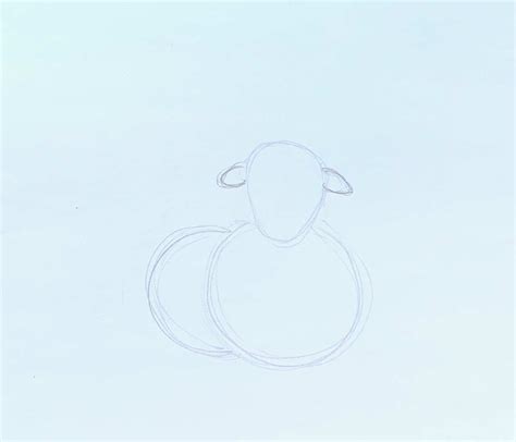 How To Draw A Sheep Face
