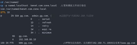 Dns之bind配置命令bind 编辑数据配置文件 Csdn博客