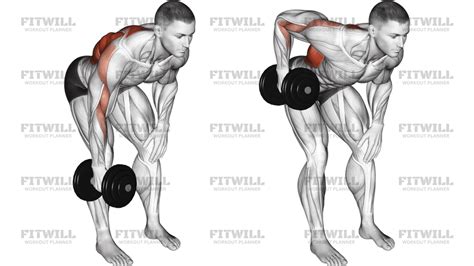 Dumbbell Lying Rear Delt Row Exercise Guide Video Techniques