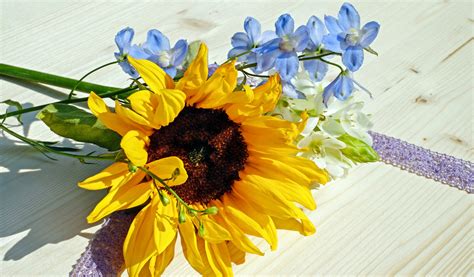 受験算数のメリット・デメリット【地方の子でも意味アリ】 元塾講師 透明教育ママ見参！！