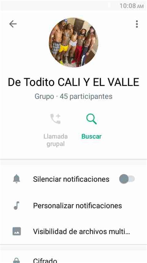 Grupos GAY De WhatsApp De CALI GAY Groups In WhatsApp Guia GAY