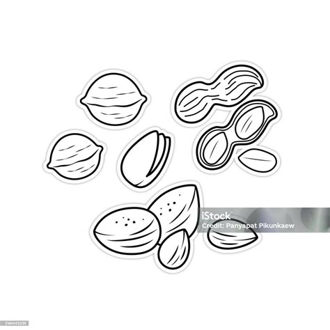 흰색 배경에 고립 된 다른 너트 세트의 벡터 일러스트 레이 션 흑백 그림 아이들이 그림에 따라 색칠하는 법을 배울 수 있습니다 0명에 대한 스톡 벡터 아트 및 기타 이미지