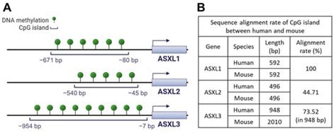 Ijms Special Issue New Advances In Epigenetics And Epigenomics