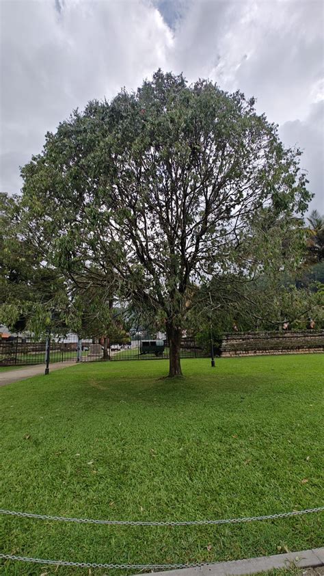 Devanshu Bhatia On Linkedin Colombo Motivation Travel Inspiration Culture Ryanreynolds