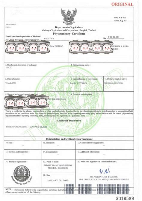 ทำเอกสาร Phyto เรียบร้อยไปอีก 1 รายค่ะ 🛸 บริการงาน Shipping งานขาเข้า ขาออก ทางเรือ ทาง