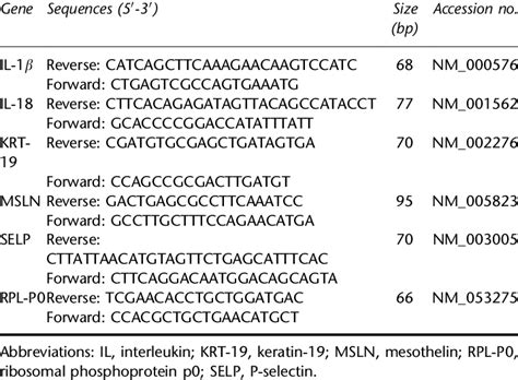 Primer Sequences Used For Gene Expression Analysis By Real Time Pcr