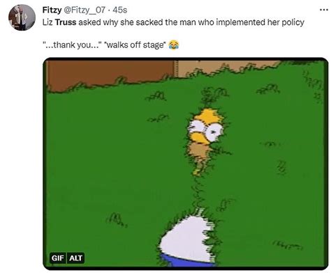 Liz Truss Memes From Her Outlasting A Lettuce To Being Likened To