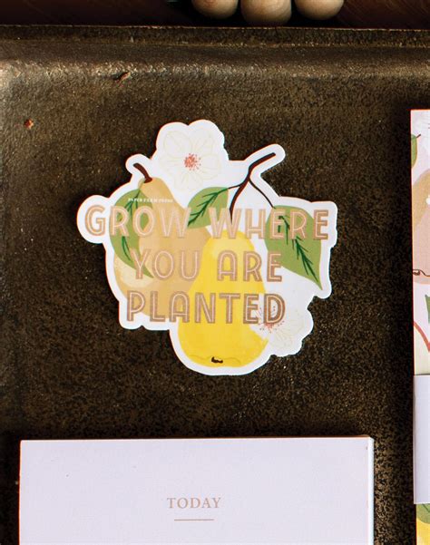 Grow Where You Are Planted Pear Decal Sticker Paper Farm Press
