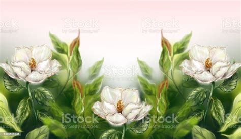 아름 다운 진주 흰색 아이보리 목련 꽃 잎 분기 식물 나무 부시 프레임 배경 컴퓨터 그래픽 디지털 수채화 예술 0명에 대한 스톡