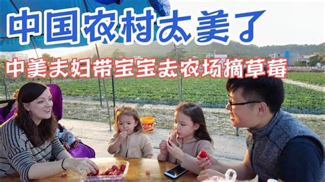美国女孩嫁到中国，周末去农场摘草莓。中国农村太美了！ Youtube