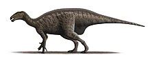 List Of European Dinosaurs Simple English Wikipedia The Free