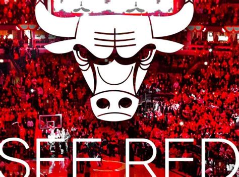 【nba集锦】奥迪vs公牛集锦 364加时绝杀三分带走公牛 球迷屋