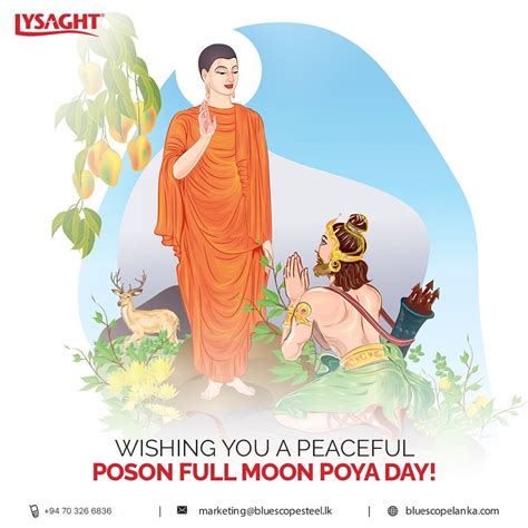 Lysaght On Linkedin 30yearsofexcellence Lysaght Roofingsolutions