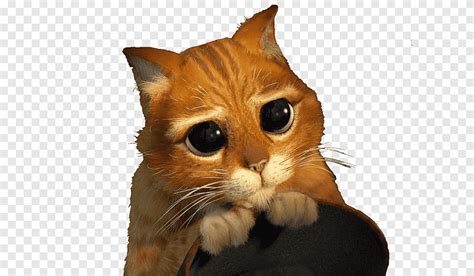 Shrek Puss In Boots Sad Face My Xxx Hot Girl