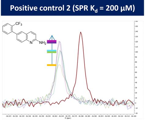 Fragment Screening Drug Discovery Sygnature Discovery