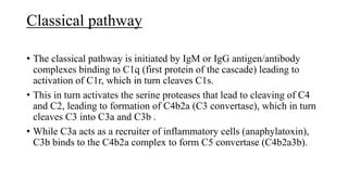Complement System PPT