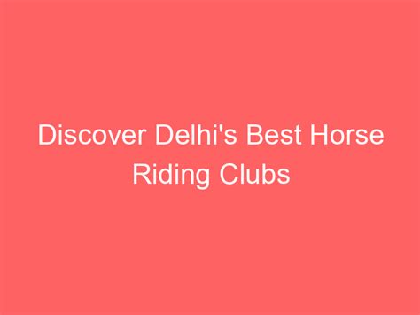 Discover Delhis Best Horse Riding Clubs