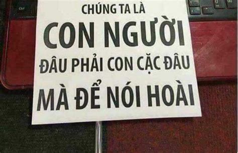 Tấm bảng có dòng chữ con người đâu phải là con cac đâu mà để nói hoài Ảnh Chế Meme