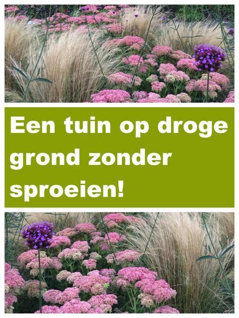 Pin op Tuin ideeën