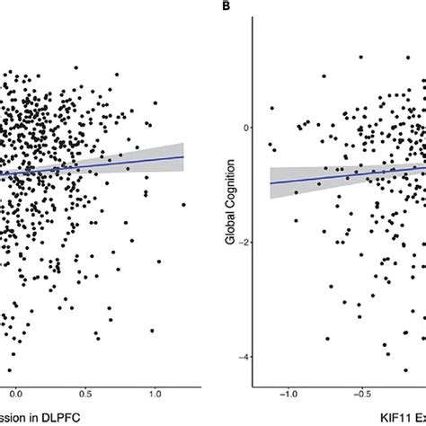 Higher KIF11 MRNA Expression Levels In The Dorsolateral Prefrontal
