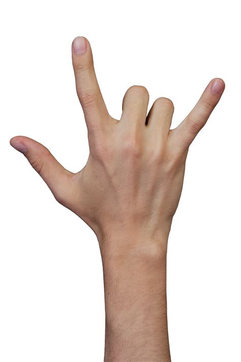 Free Human Hands Rock Back Gestures Realistic Images 19014232 PNG With