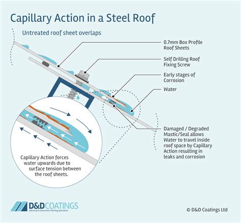 What Is Capillary Action