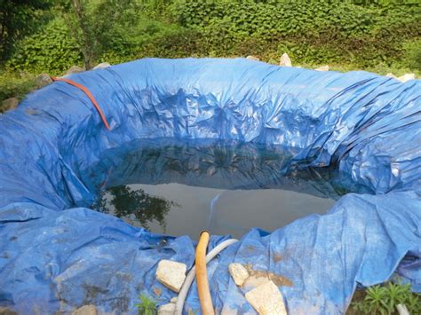 고추밭에 분사호스이용 물을 주기기 네이버 블로그