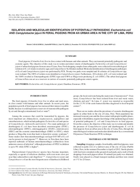 Pdf Isolation And Molecular Identification Of Potential Probiotic Yeasts From The
