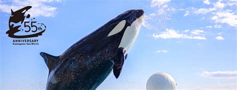 水族館TOP鴨川シーワールド 東京千葉の水族館テーマパーク