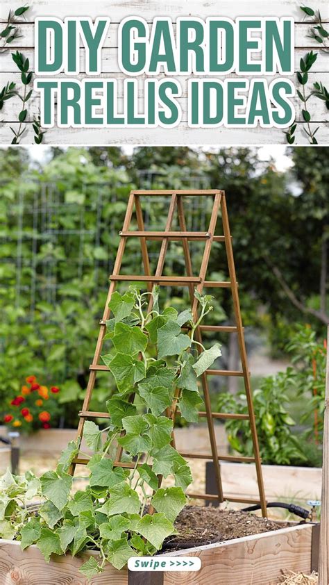 Diy Garden Trellis Ideas That Is Easy To Make Artofit