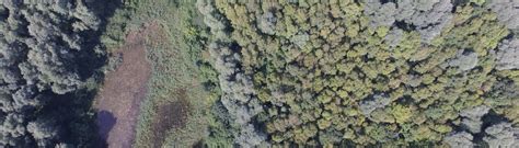 Bildauswertung GIS GIS Akademie GmbH