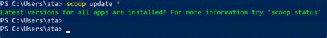 How To Install And Use The Scoop Windows Package Manager