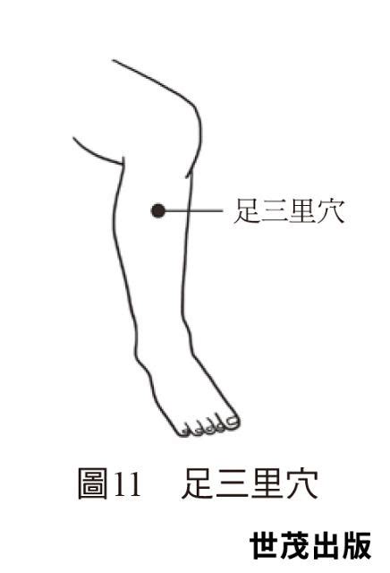 瘦腰排毒消浮腫！中醫「穴位刺激減肥法」養胃消脹氣 第3頁