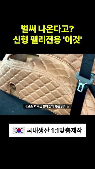 디올뉴 팰리세이드 풀체인지 트렁크매트 출시임박 Youtube