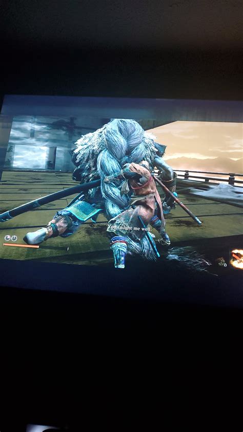 Owl Down Rsekiro