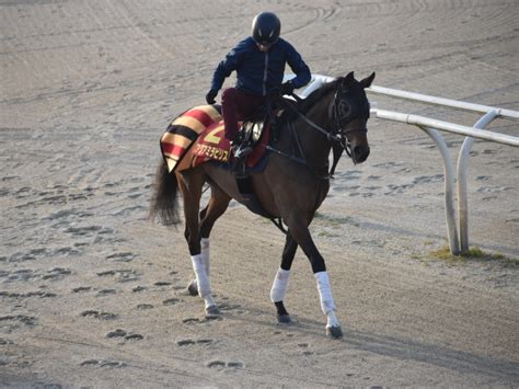 アクアミラビリスなど、桜花賞1週前追い切り速報栗東トレセンニュース 競馬ニュース Netkeiba