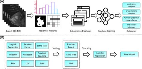 Prediction Of Estrogen Receptor Er Progesterone Receptor Pr And Download Scientific