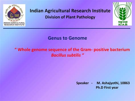 Whole Genome Sequencing Of Bacillus Subtilis A Gram Positive Organism Ppt