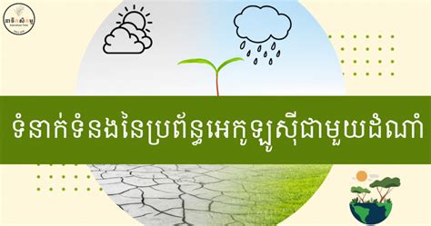 តើប្រព័ន្ធអេកូឡូសុីកសិកម្មមានសារៈសំខាន់អ្វីខ្លះទៅដល់ដំណាំ នាទីកសិកម្ម Kaksekam Time