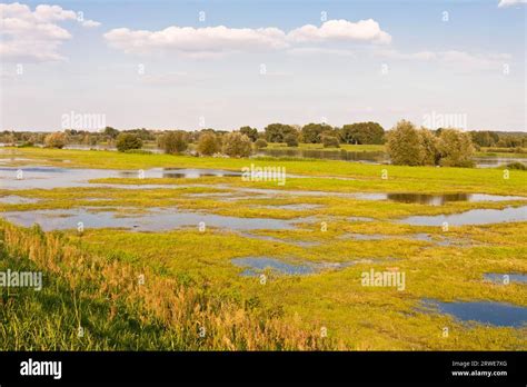 Hochwasser In Oderbruch Hochwasser In Oderbruch Stockfotografie Alamy