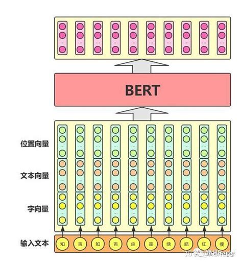 关于BERT的若干问题整理记录 知乎