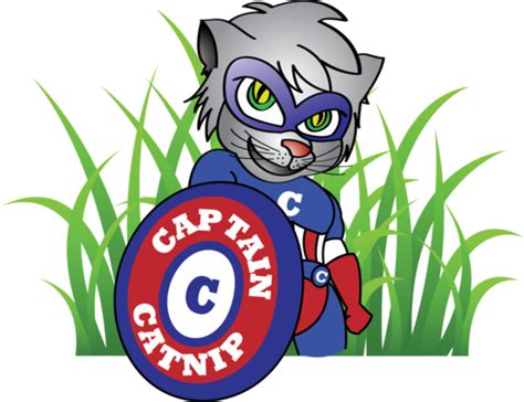 Captain Catnip Cat Furniture And Toys Infused With Catnip Cc Usa