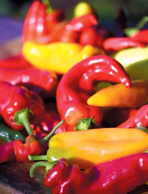 Fermented Red Pepper Paste And Powder