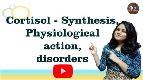 Cortisol Synthesis Regulation Physiological Actions Disorders I