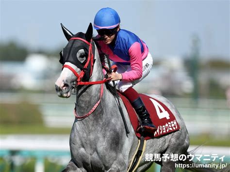 メイショウミモザ2017年産 競走馬データtop｜競馬予想のウマニティ
