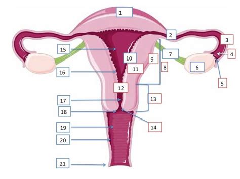 Solved IDENTIFY THE POINTED STRUCTURES UNLESS OTHERWISE Chegg