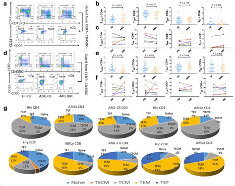 Gating Strategy For Identifying The Cd4 And Cd8 T Cells And The