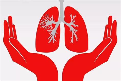 肺结核病，你知道多少 呼吸道 振东健康网 振东健康网