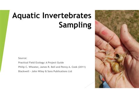 SOLUTION Sampling Mobile Organisms Practical 2 Invertebrates Studypool