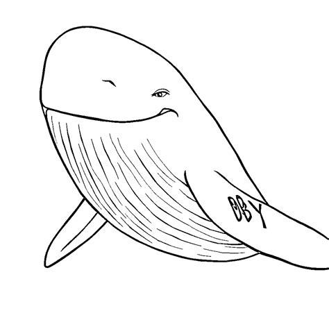 Best Moby Dick Coloring Pages Free Printable Pdf